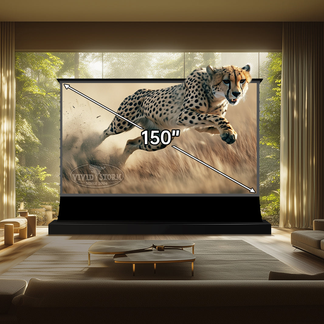 VIVIDSTORM Projector Screen